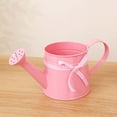 zhonghuaying 1 Pack Decorative Metal Watering Can, Small Garden ...