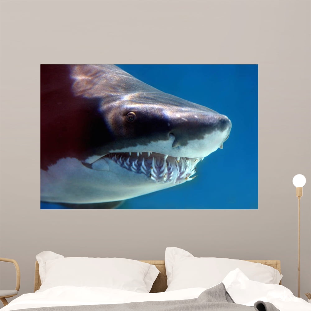 Shark with Mouthful Teeth Wall Mural by Wallmonkeys Peel and Stick ...
