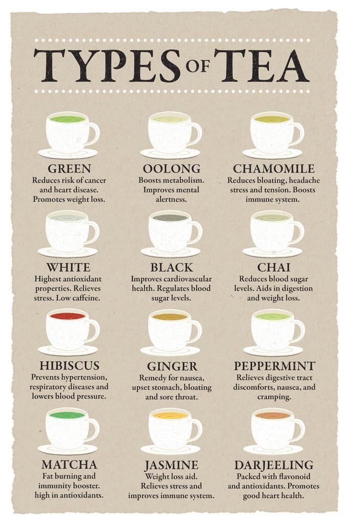 Types of Tea Chart Poster Health Benefits Diagram Varieties Infographic ...
