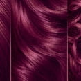 Clairol Natural Instincts Bold Hair Dye F66 Dragon Fuchsia Permanent ...