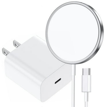 Dual PD 40W Fast Wall Charger Power Adapter iPhone 16 Pro Max 15 14 13 ...