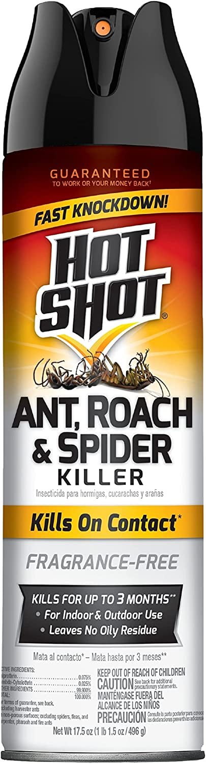 Hot Shot Ant, Roach & Spider Killer Spray, Kills Roaches and Listed ...