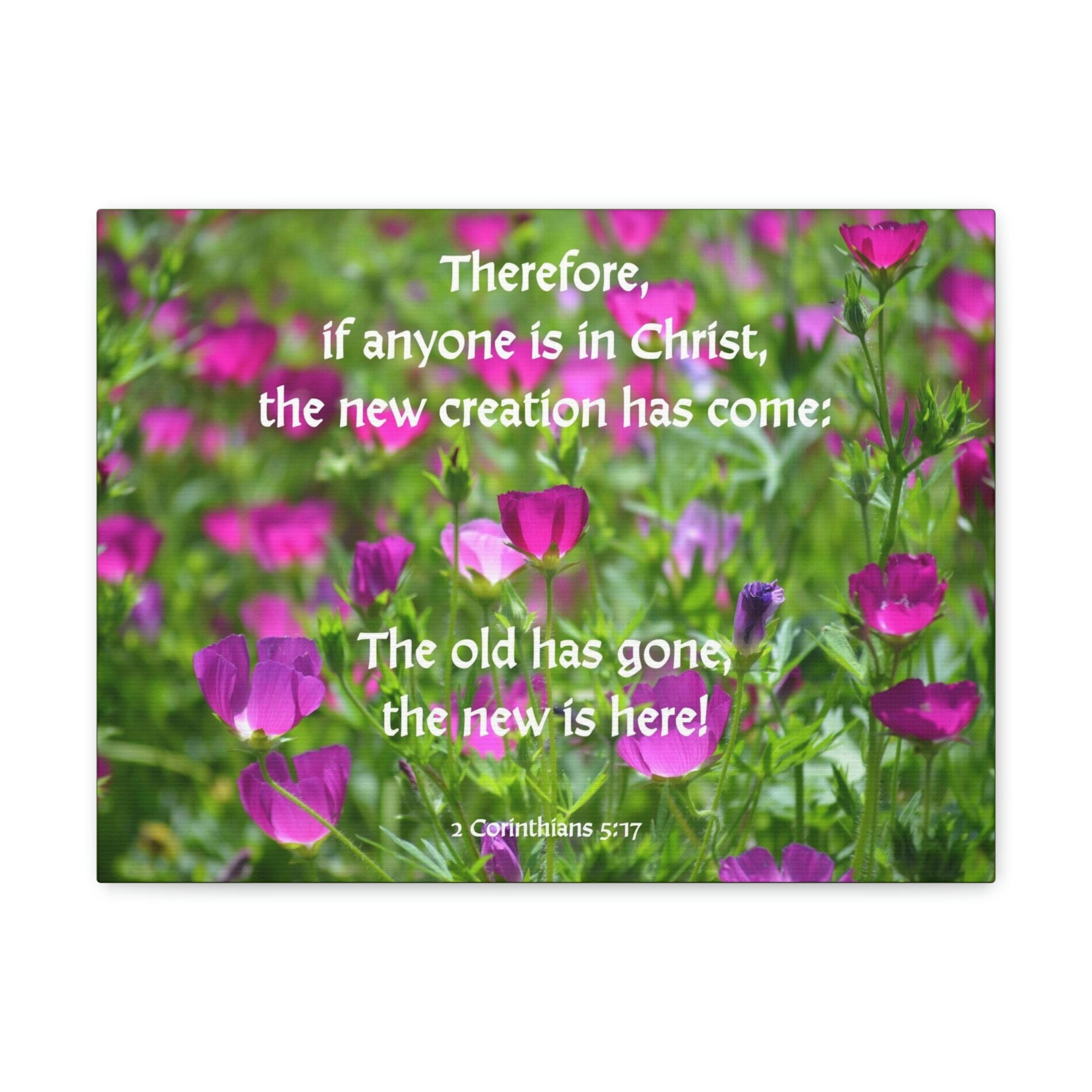 Scripture Walls Anyone in Christ 2 Corinthians 5:17 Flowers Christian ...