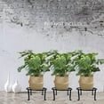 4 Pack Metal Plant Stands for Flower Pot, Heavy Duty Black Iron Potted ...