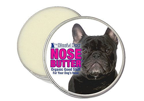 What Can I Put On My French Bulldogs Dry Nose