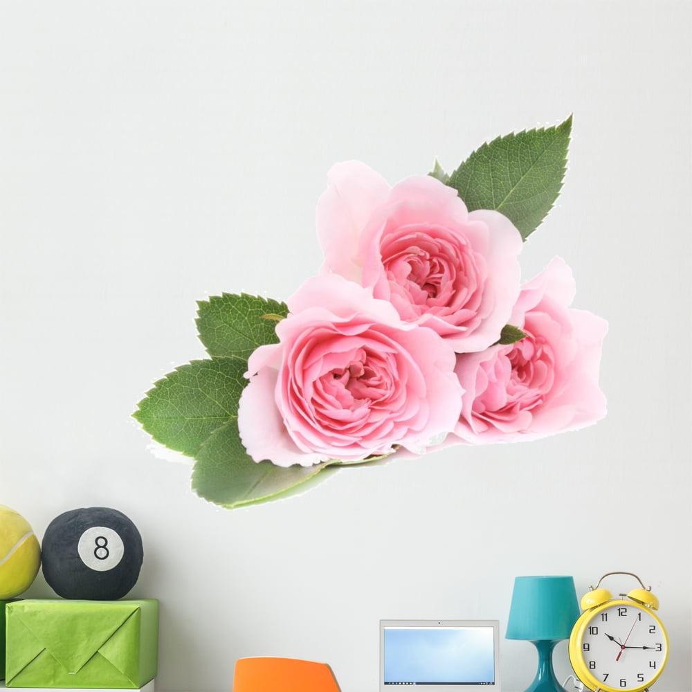 Pink Roses Wall Mural Decal by Wallmonkeys Vinyl Peel and Stick Graphic ...