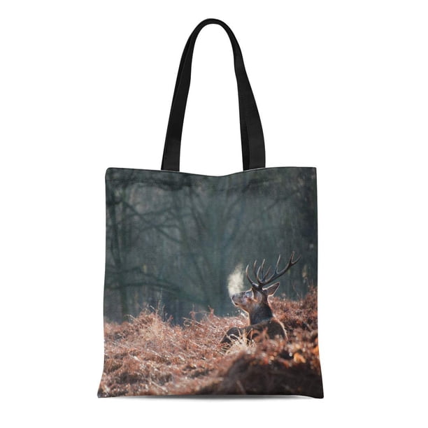 JSDART Canvas Tote Bag Portrait of Red Deer Stag in Forest Landscape ...
