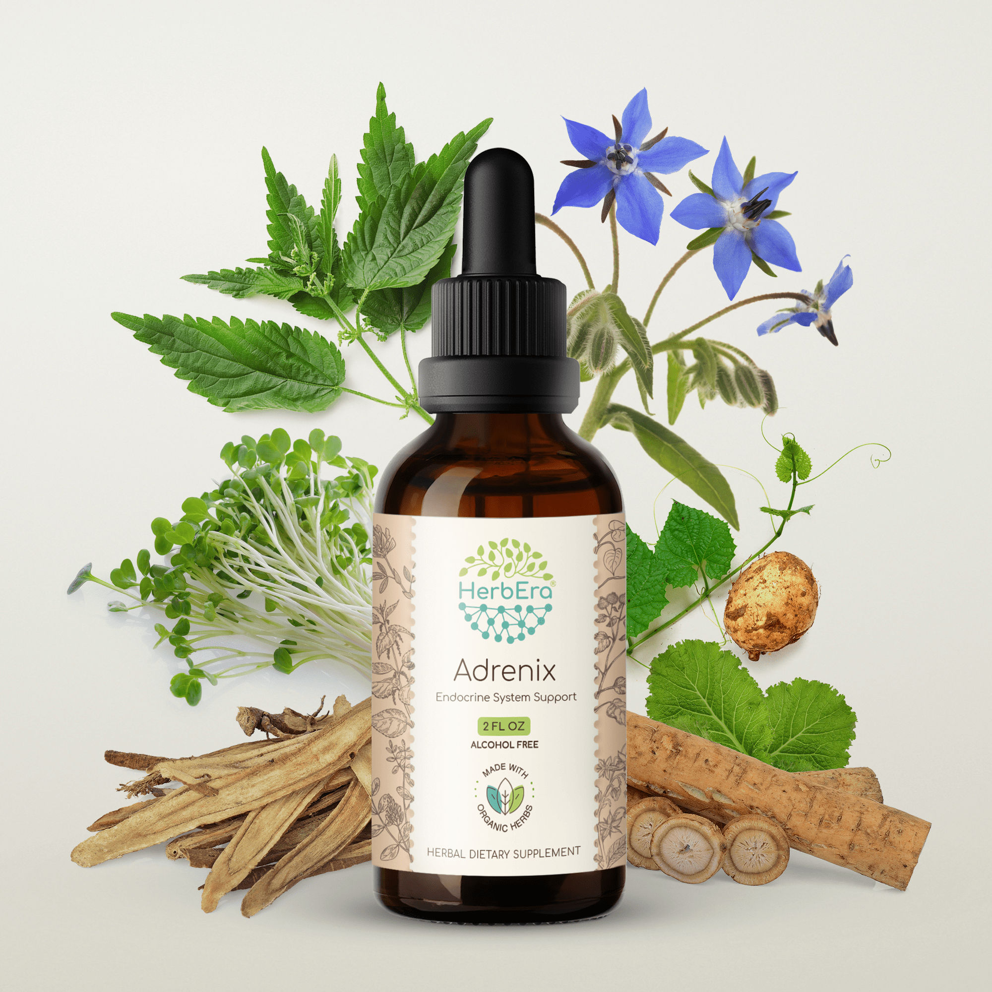 Adrenix Alcohol-FREE Extract Tincture. Endocrine System Support 2 oz ...