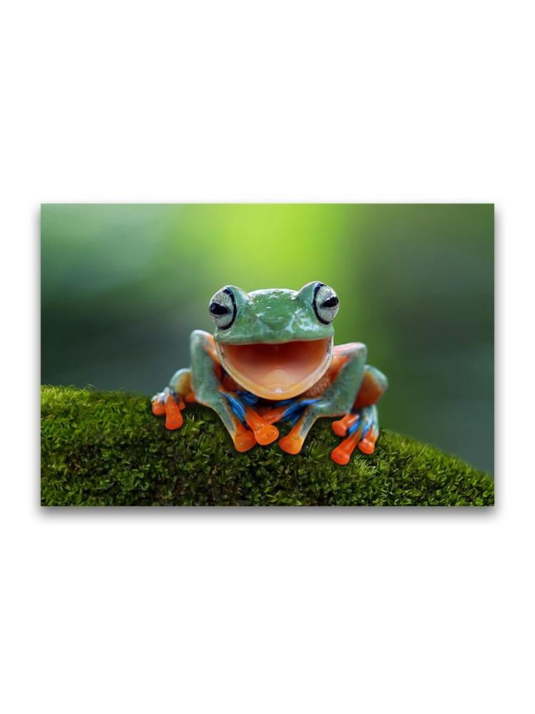 Funny Joyful Tree Frog Poster -Image by Shutterstock - Walmart.com