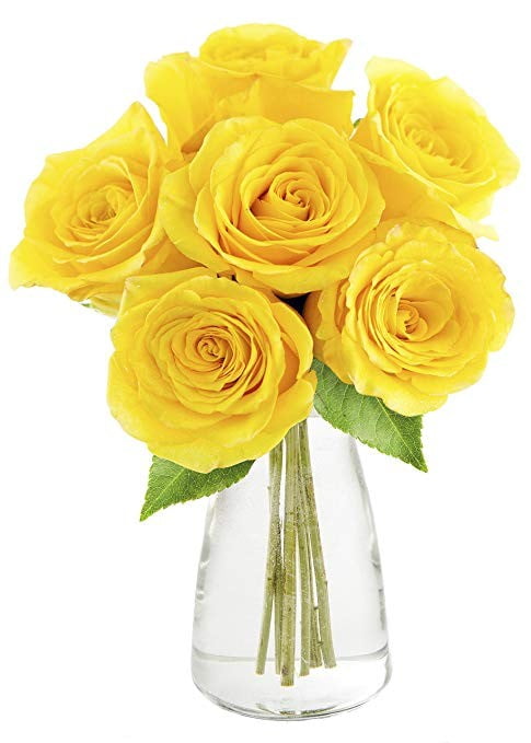 KaBloom: Bouquet of 6 Yellow Roses in a Glass Vase - Fresh Flowers for ...