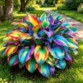 Large-Leaved Hosta- Bulk-10 color options - Garden Stake for Outdoor ...