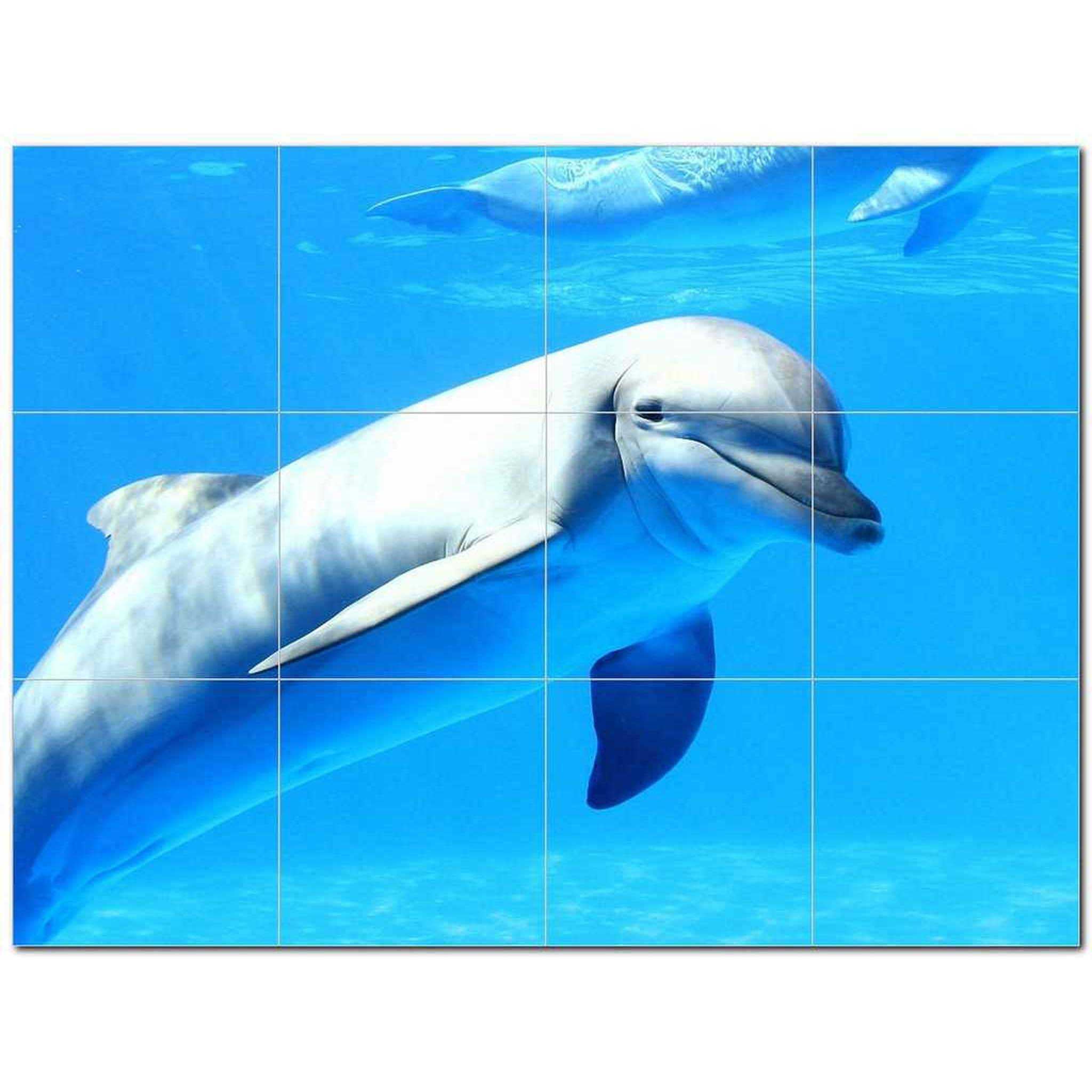 Dolphin Picture Ceramic Tile Mural Kitchen Backsplash Bathroom Shower ...