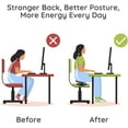 Active Seat Balance Trainer & Core Balance Disc | Portable Chair ...