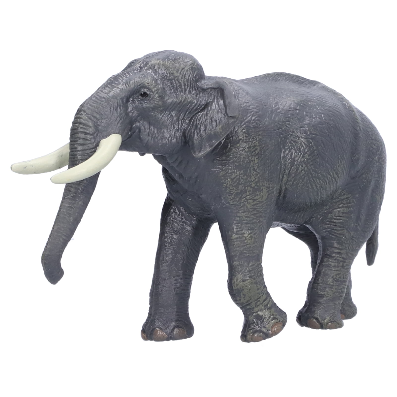 Real Miniature Elephant