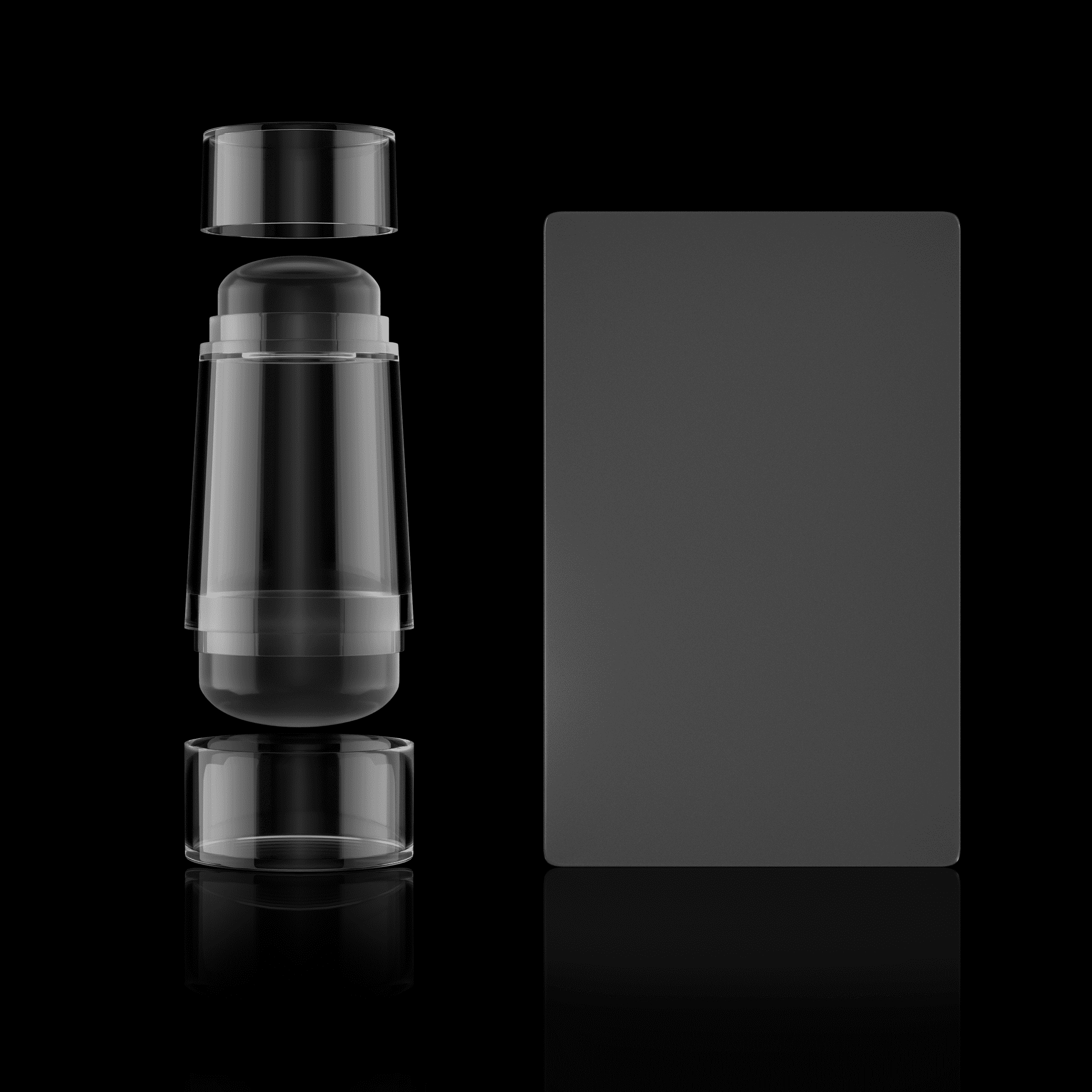 Beetles Nail Art Stamper , Clear Silicone Stamping French Tip Nail ...