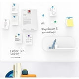 Strong Magnetic Push Pins for Fridge Whiteboards, Pack of 18 - Walmart.com
