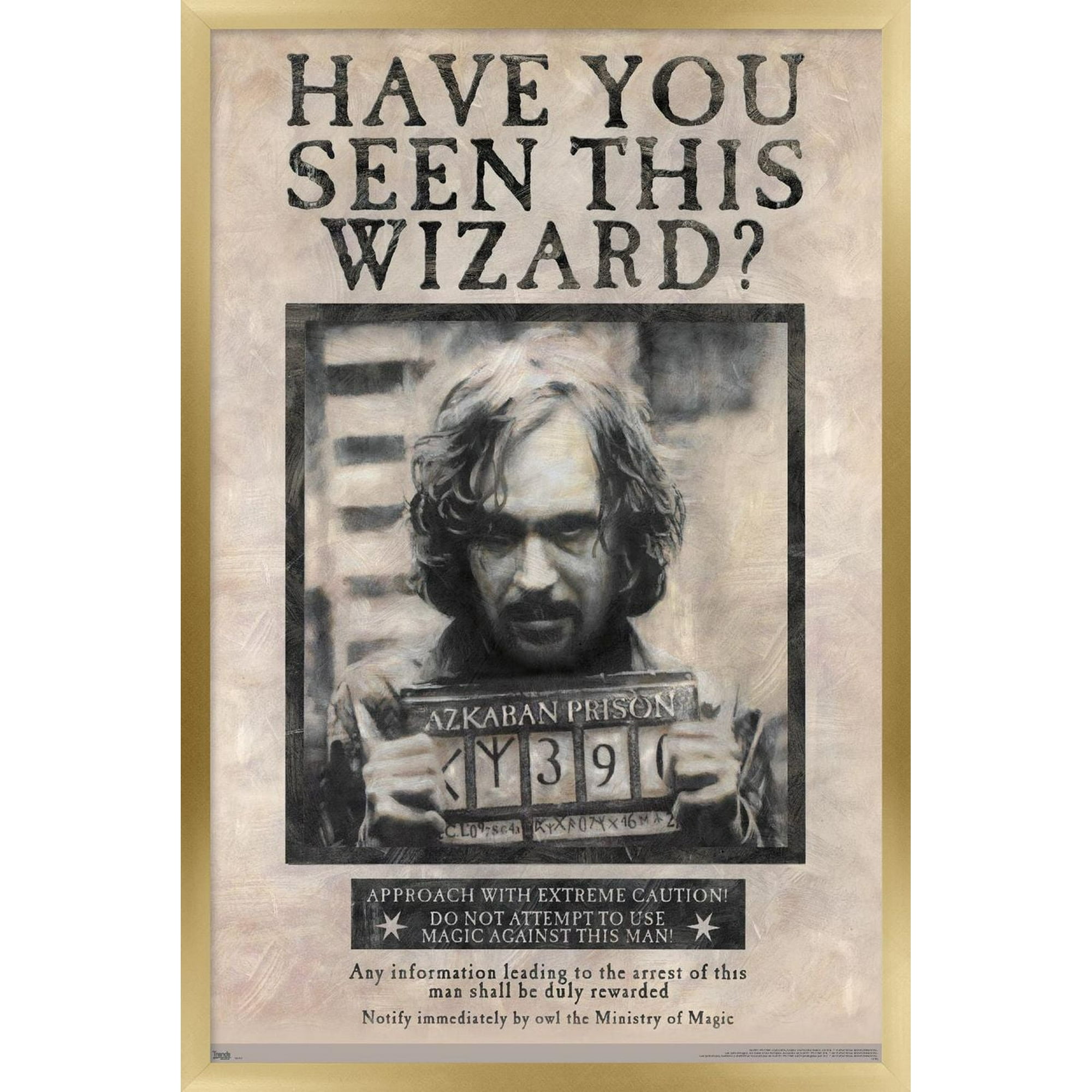 Click here for Trends International The Wizarding World: Harry Po... prices