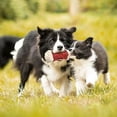 Dog Toys for Aggressive Chewers, Indestructible Dog Chew Toys, Safe ...