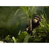 Living Nature Sloth Plush Toy, Realistic Soft Wildlife Animal, 24cm/9 ...