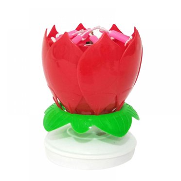 Birthday Cake Flower Candles with Happy Birthday Music Rotating Setup ...