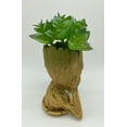 Disney Parks Marvel Superhero Guardian's of Galaxy Groot Succulent ...