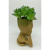 Disney Parks Marvel Superhero Guardian's of Galaxy Groot Succulent ...