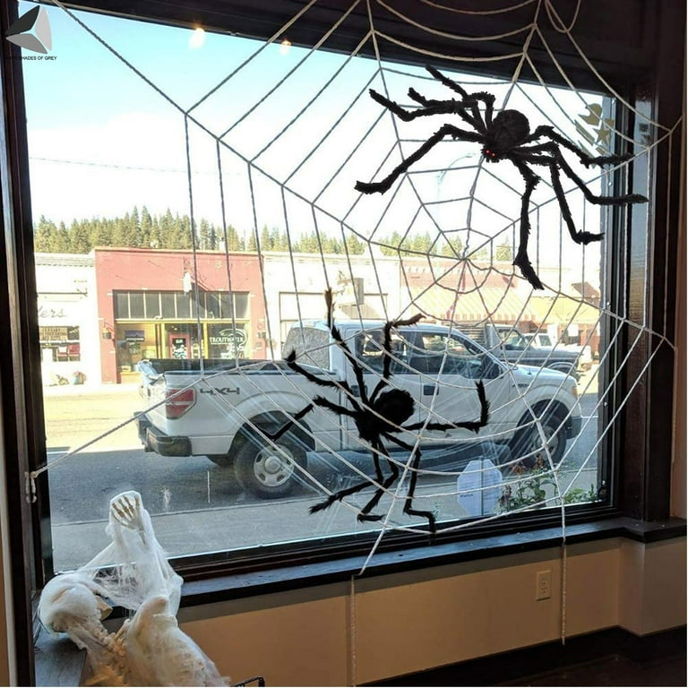 Giant Spider Web Display