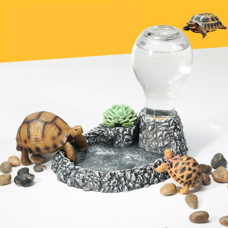 Pet Tortoises Water