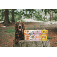 The Dog Bodega Bussin' Bites Jammin' Salmon Freeze Dried Treats for ...