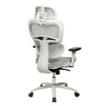 Techni Mobili High Back Mesh Executive Office Chair with Neck Support ...