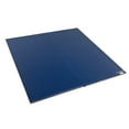 10' x 10' Grappling Mat for Gym, Karate, Martial Arts, MMA with FLEXI ...