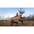 Flambeau Outdoors Scrapper Buck Deer Decoy, Brown C21 - Walmart.com