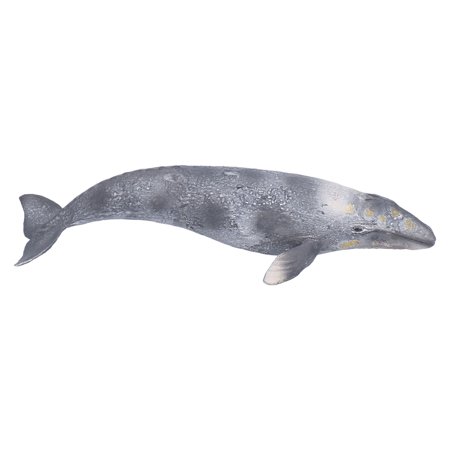 Ocean Animals, Grey Whales Model Sea World Whale Model Sea Animal ...