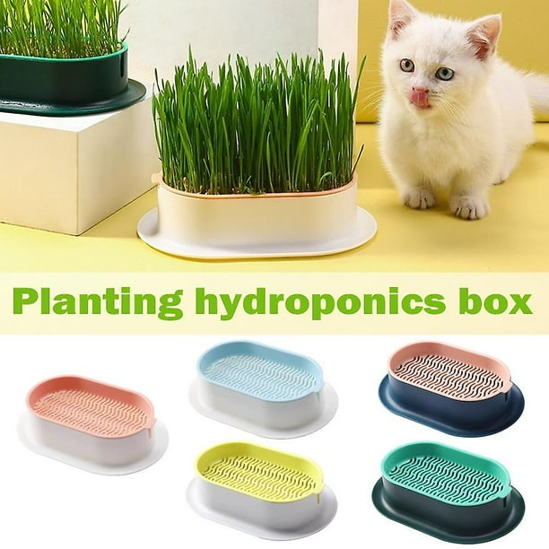 Hydroponic Cat Grass Planter Tray Plastic Catnip Cat Grass Box Soil ...