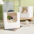 25 Pcs Cupcake Boxes Individual Cupcake Containers Pre-Assembled Single ...