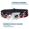 Buckle-Down Pet Collar, Dog Collar Metal Seatbelt Buckle, Ohio Flags ...
