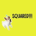 Hallmark Funny Birthday Card (You Deserve the Best Birthday Ever ...