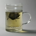 Primula 12 oz. Borosilicate Glass Personal Tea Brewer with Loose Tea ...