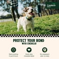 Credelio (lotilaner) Tick & Flea Treatment + Flea Infestation ...