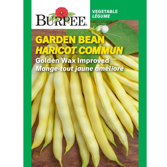 Burpee Golden Wax Improved Bean, Plant Seeds for Home Garden - Walmart.ca