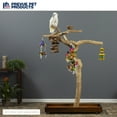 Prevue Pet Products Coffeawood Java Tree Large Floor Playstand Style #2 ...