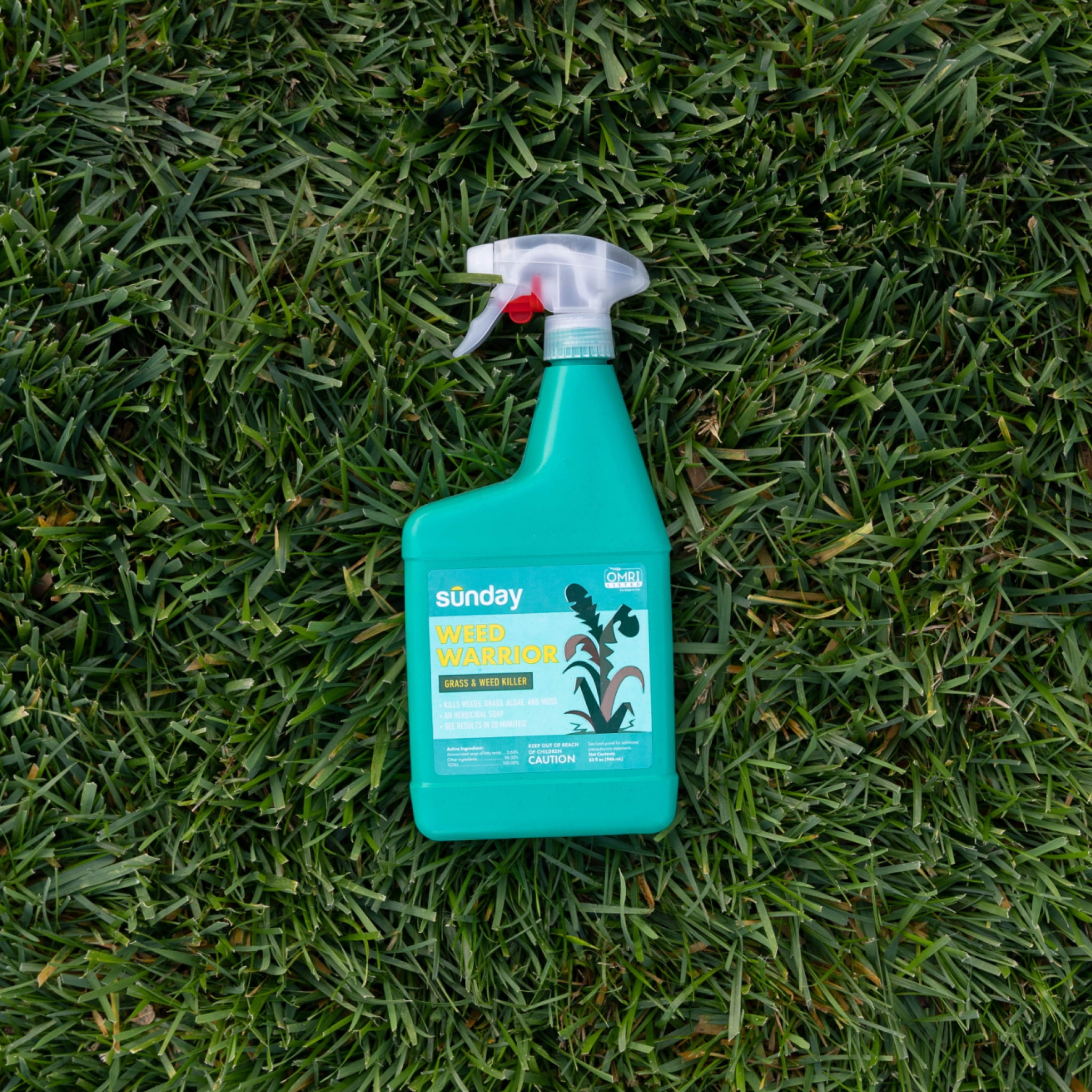Sunday Weed Warrior Non-Selective Herbicide Spot Treatment 32 oz. Best ...
