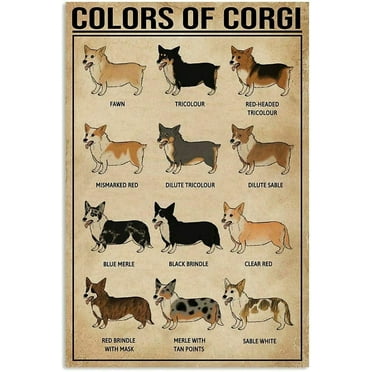 Science Lab - Sign - Walmart.com