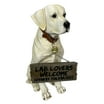 World of Wonders Black Lab Dog Indoor Outdoor Welcome Statue with ...