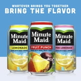 Minute Maid Fruit Punch Juice, 12 fl oz, 12 Cans - Walmart.com