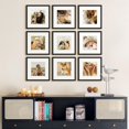 COEQWD-12x12 Picture Frame, Display Pictures 8x8 with Mat or 12x12 ...
