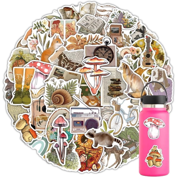50Pcs Vintage Stickers for Water Bottles, Retro Aesthetic Vsco ...