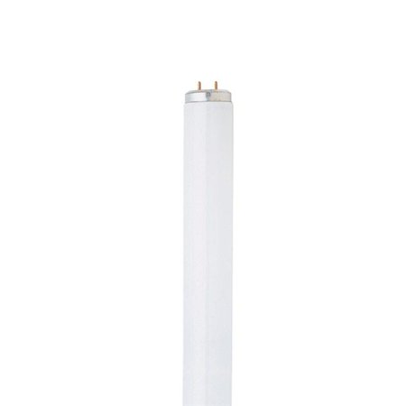 Feit Electric F30T12-CW-RS-RP 36 in. T12 Lumen Fluorescent Bulb 30 watt ...