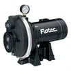 Flotec 1 HP Convertible Jet Pump, Thermoplastic, FP4332-08 - Walmart.com