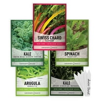 Gardeners Basics, Pumpkin Seeds, 5 Variety Pack, Non-GMO Heirloom ...